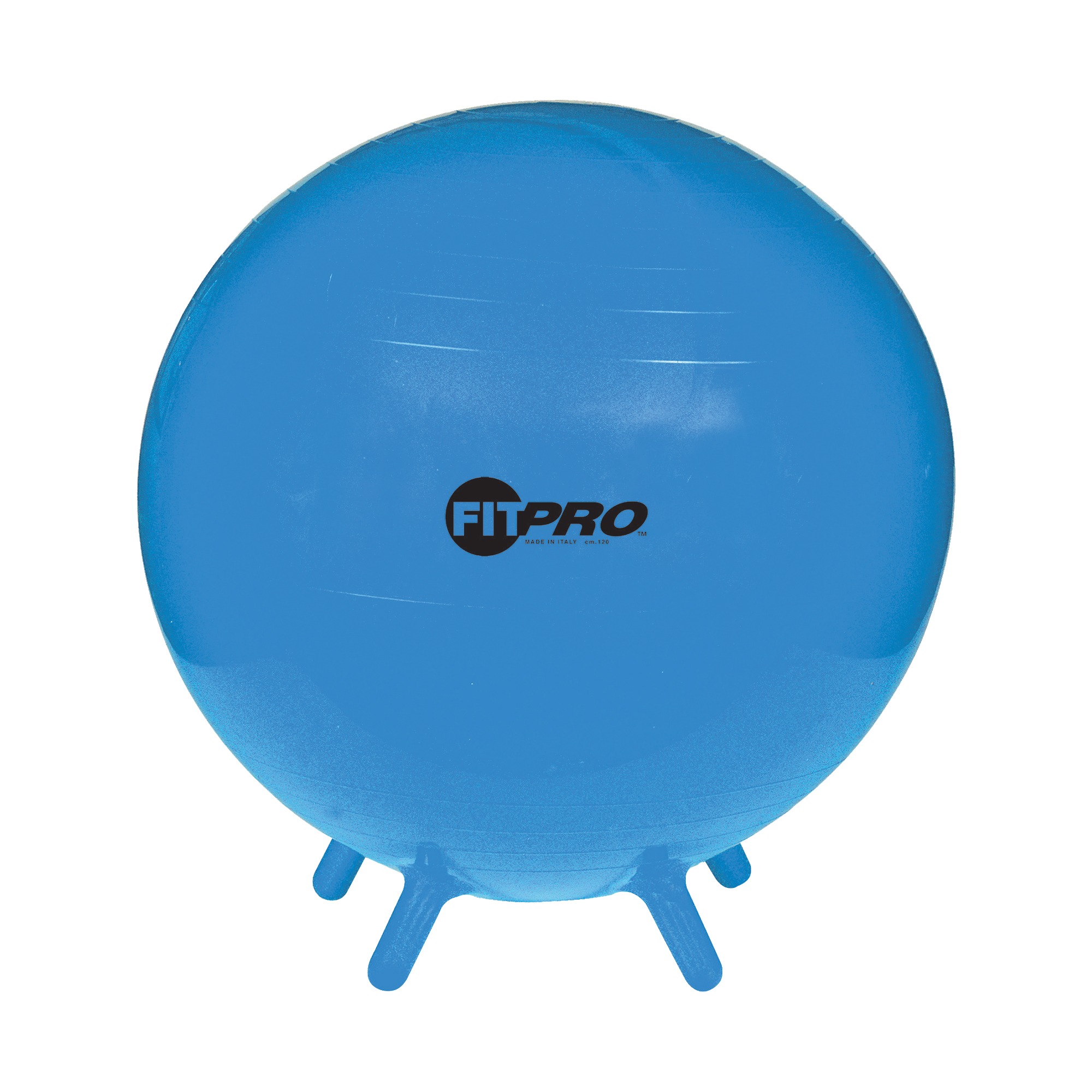 WittFitt Stability Balls - WittFitt™ - Learning in Motion™